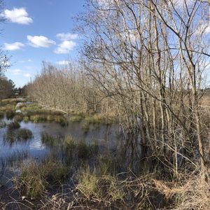 Alexander Deussen Park - 104 Photos & 37 Reviews - Parks - 12303 ...