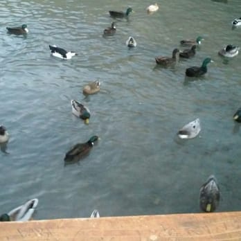 FIRST DAM PARK/CANYON ENTRANCE PARK - Updated January 2026 - US 89 ...