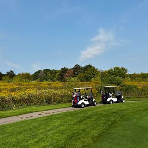 HURON MEADOWS GOLF COURSE MDWS METROPARK GOLF CRSE - 41 Photos - 8765 ...