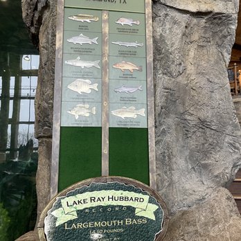 BASS PRO SHOPS - Updated January 2026 - 45 Photos & 30 Reviews - 5001 ...