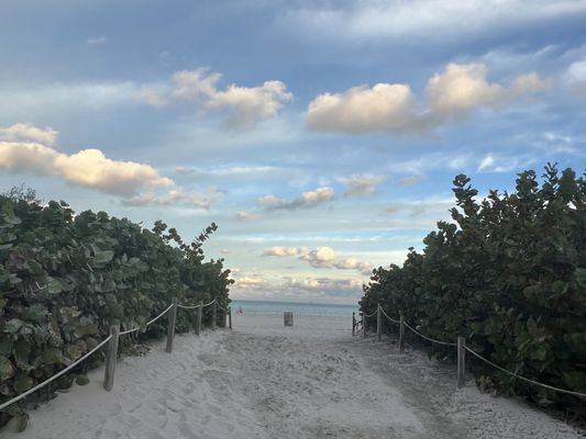 ALLISON PARK - Updated October 2025 - 47 Photos - 6500 Collins Ave ...