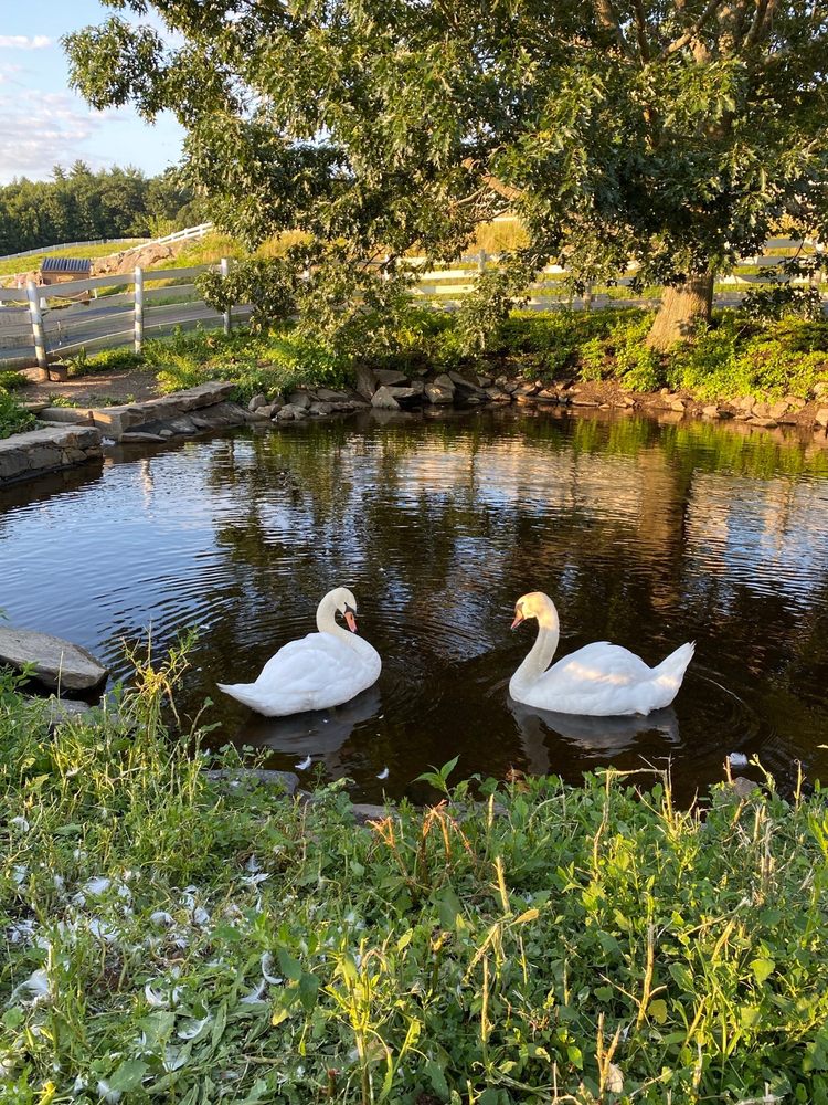 BERLIN FARMS - Updated July 2025 - 42 Photos & 37 Reviews - 200 Central ...