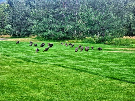 WASATCH MOUNTAIN STATE PARK GOLF - Updated December 2025 - 32 Photos ...