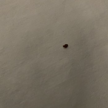 KEW MOTOR INN - Updated January 2026 - 19 Photos & 35 Reviews - 139-01 ...