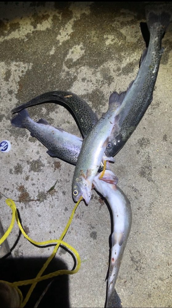 HOWE COMMUNITY PARK - 118 Photos & 26 Reviews - 2100 Howe Ave ...