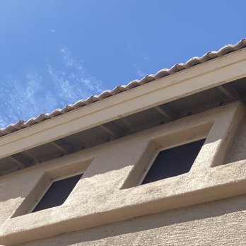 PIGEON PROBLEM SOLVERS - Updated July 2025 - 83 Photos & 29 Reviews ...