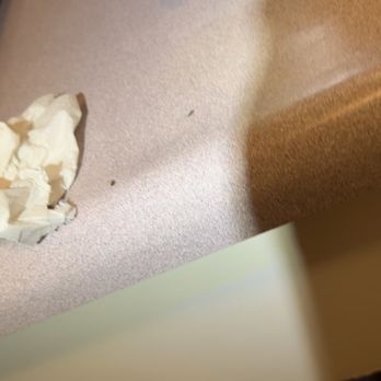 NORTHERN QUEEN INN - Updated July 2025 - 270 Photos & 169 Reviews - 400 ...