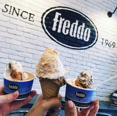 FREDDO - 70 Photos & 36 Reviews - 306 Sw 145th Ave, Pembroke Pines ...