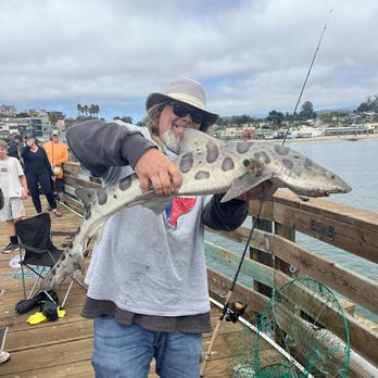 CAPITOLA BOAT & BAIT - Updated January 2026 - 31 Photos & 33 Reviews ...