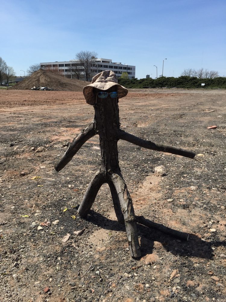 VIC’S TREE CARE - Updated July 2025 - 555 8th St, Palisades Park, New ...