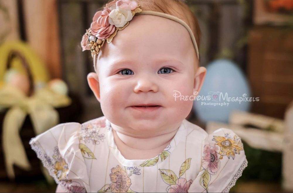 PRECIOUS MEGAPIXELS - Updated February 2025 - Windsor, Ontario ...