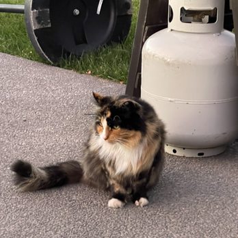 TREVERI CELLARS - Updated August 2024 - 313 Photos & 191 Reviews - 71 ...