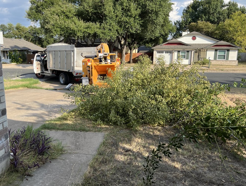 AUSTIN TREE PATROL SERVICES - Updated June 2025 - 38 Photos & 64 ...