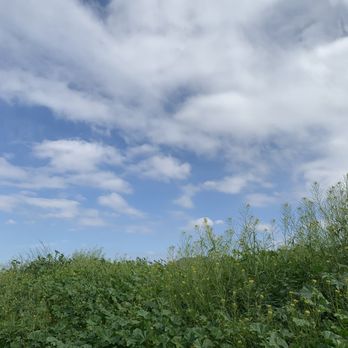 RIVER WALK PARK - Updated December 2025 - 145 Photos & 61 Reviews ...