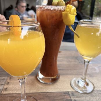 THE MIMOSA HOUSE - Updated January 2025 - 2119 Photos & 1562 Reviews ...