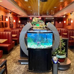 CHINATOWN INN - Updated May 2025 - 211 Photos & 315 Reviews - 520 3rd ...