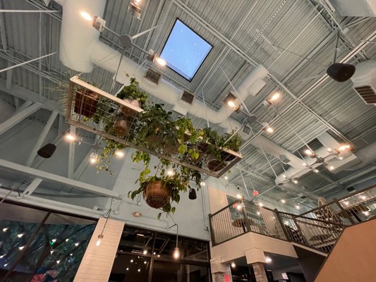 CALI - TAMPA PALMS - Updated May 2024 - 698 Photos & 751 Reviews ...