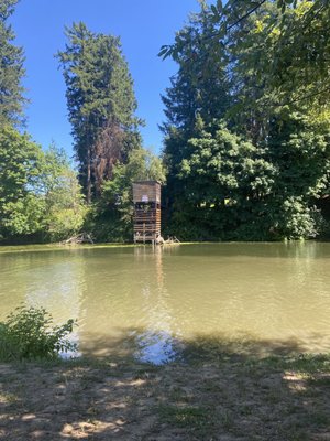 COOK PARK - Updated December 2025 - 48 Photos & 33 Reviews - 17005 SW ...