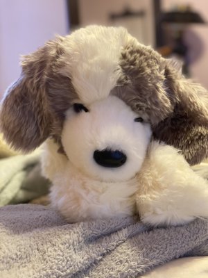 FAIRHAVEN TOY GARDEN - Updated January 2025 - 33 Photos & 34 Reviews ...