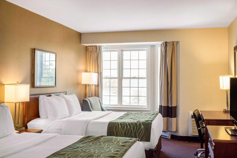 COMFORT INN - Updated September 2025 - 20 Photos - 560 Bedford Hwy ...