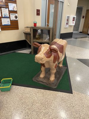 GAIL BORDEN LIBRARY - Updated November 2025 - 50 Photos & 47 Reviews ...