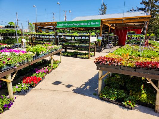 SWEETBAY FARMS NURSERY - Updated October 2025 - 100 John St ...