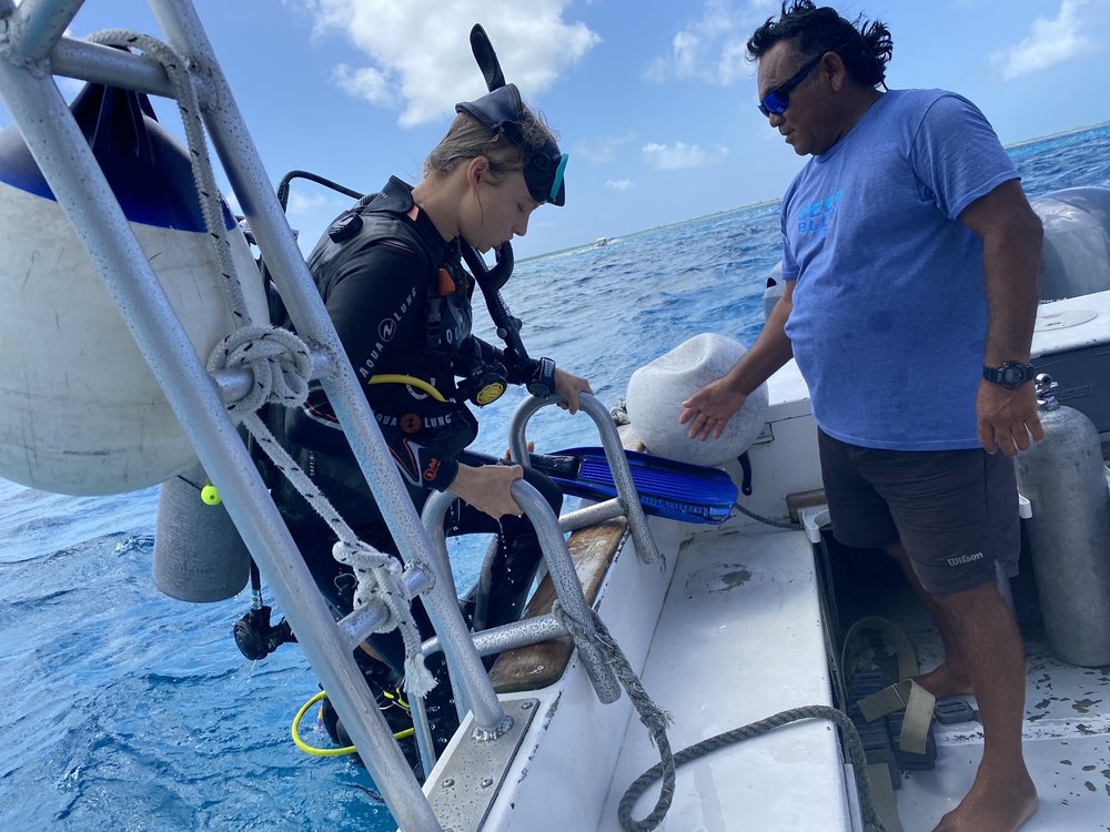 DEEP BLUE COZUMEL - Updated July 2025 - 18 Reviews - Calle Doctor Adolfo Rosado Salas 200 ...