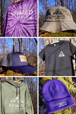 ELEVATED EXOTICS - Updated December 2025 - 14 Photos - 923 Ludington St ...