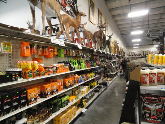 ROGERS SPORTING GOODS - Updated December 2025 - 75 Photos & 53 Reviews ...