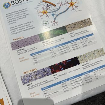 PRINTIVITY - Updated December 2025 - 107 Photos & 157 Reviews - 8225 ...