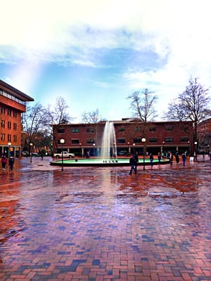 WESTERN WASHINGTON UNIVERSITY - Updated June 2025 - 65 Photos & 35 ...