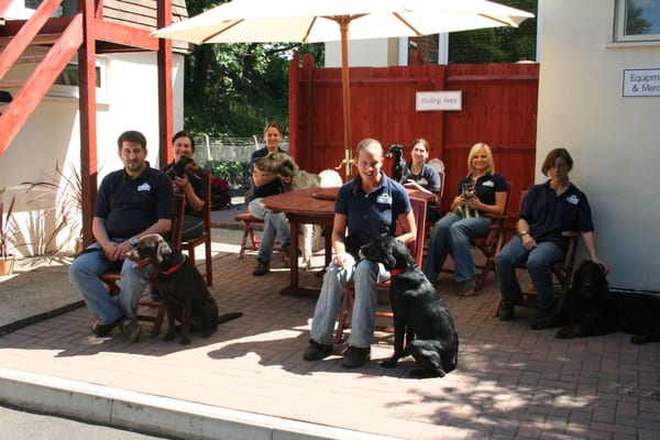 ROYVON DOG TRAINING AND HOTELS - Updated June 2026 - 39 Photos ...