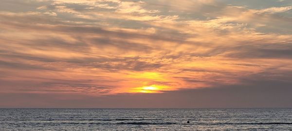 WEST LIPOA STREET BEACH - Updated March 2025 - 20 Photos - W Lipoa St ...