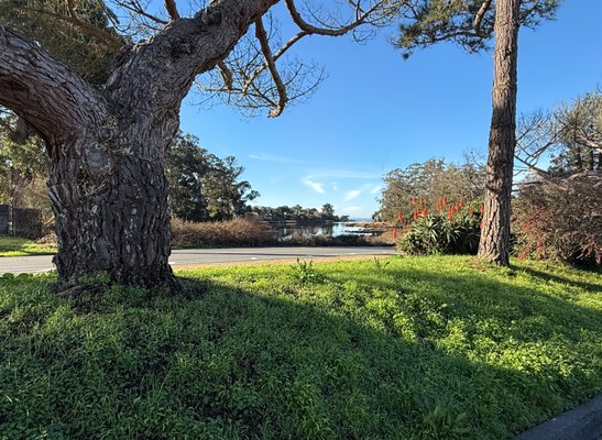 BEACH RV PLEASURE POINT - Updated January 2026 - 2505 Portola Dr, Santa ...