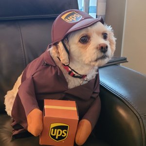 RED RIVER ANIMAL EMERGENCY HOSPITAL AND REFERRAL CENTER - Updated ...