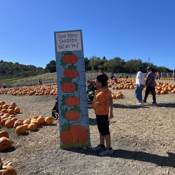 CAL POLY POMONA PUMPKIN FESTIVAL - Updated October 2024 - 571 Photos ...