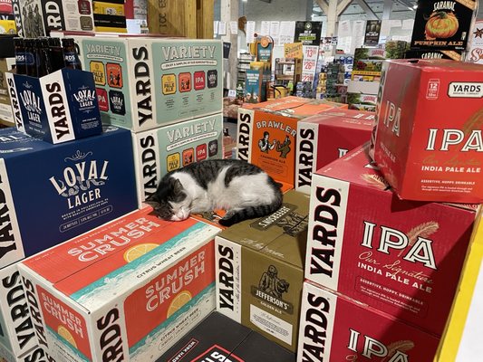 SPRINGFIELD BEER DISTRIBUTOR - Updated December 2025 - 14 Photos & 21 ...