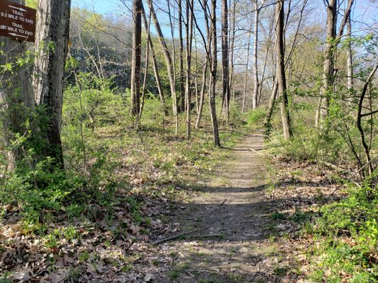 WAPPINGER CREEK GREENWAY TRAIL - Updated July 2025 - 26 Photos - 91 ...
