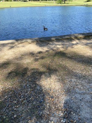 BYRD PARK - 59 Photos & 34 Reviews - 600 S Blvd, Richmond, Virginia ...