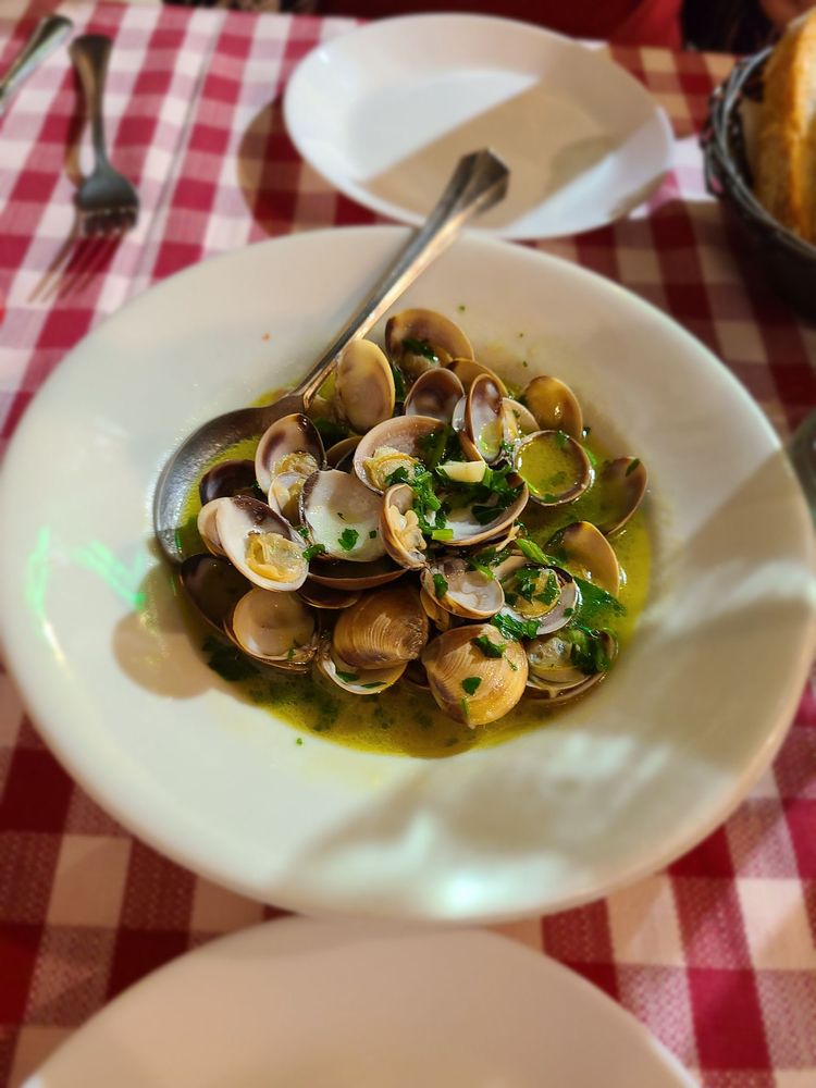 TRATTORIA SCAVOLINO - Updated August 2025 - 15 Photos & 17 Reviews ...