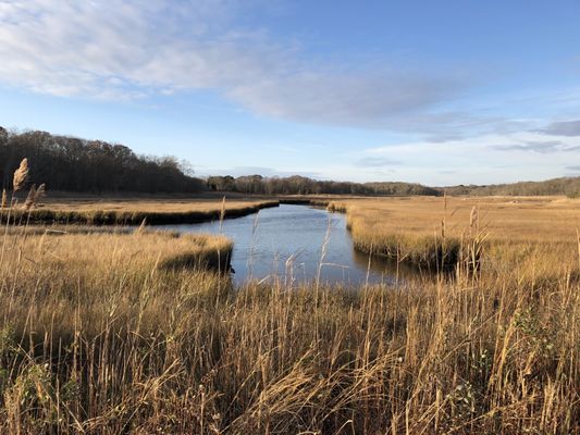 BARN ISLAND WILDLIFE MANAGEMENT - Updated November 2025 - Palmer Neck ...