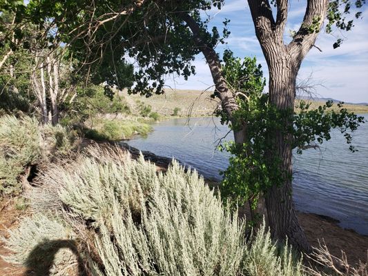 WASHOE LAKE STATE PARK - Updated May 2025 - 142 Photos & 36 Reviews ...