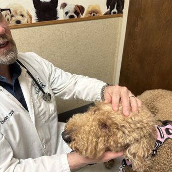 CENTRAL VETERINARY HOSPITAL - Updated September 2025 - 76 Photos & 362 ...