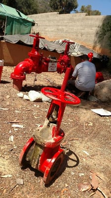 MARTINEZ FIRE PROTECTION SYSTEMS - Updated January 2026 - 12 Photos ...