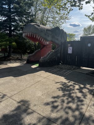 FUN ‘N’ STUFF - Updated December 2025 - 37 Photos & 60 Reviews - 661 ...