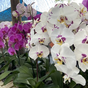 ISAAC FARMS - Updated July 2025 - 456 Photos & 113 Reviews - 18800 SW ...