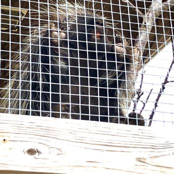 RANDALL OAKS ZOO - Updated October 2025 - 150 Photos & 40 Reviews ...