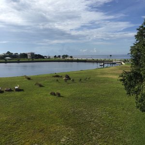 SHELL POINT BEACH - 33 Photos & 11 Reviews - Beaches - 117 Beaty Taff ...