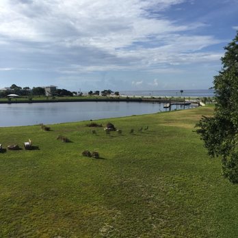 SHELL POINT BEACH - Updated March 2025 - 47 Photos & 13 Reviews - 117 ...