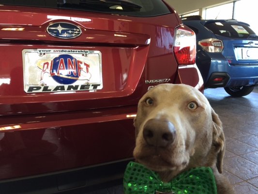 PLANET SUBARU - Updated December 2025 - 26 Photos & 193 Reviews - 596 ...